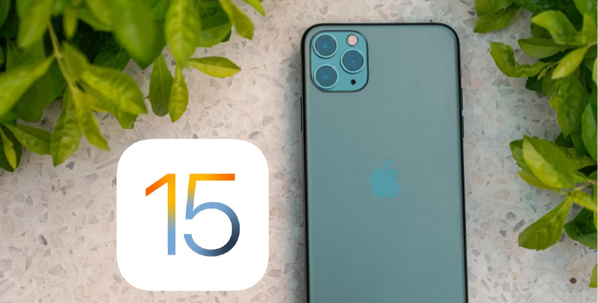 如何在 iPhone 和 iPad 上下载和使用 Safari 扩展