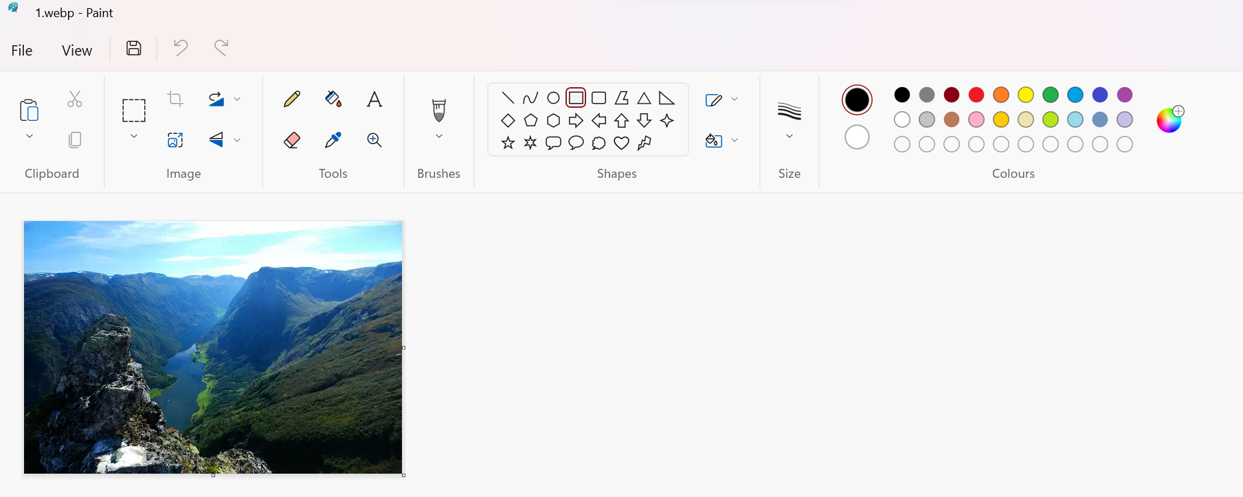 在 Windows 10/11 上打开 WebP 图像的 5 种最佳方法 - 数字指南
