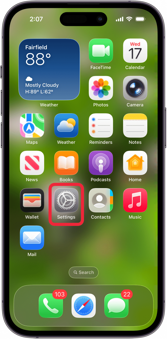 iPhone 上的数据漫游是什么？应该打开还是关闭？ - 数字指南