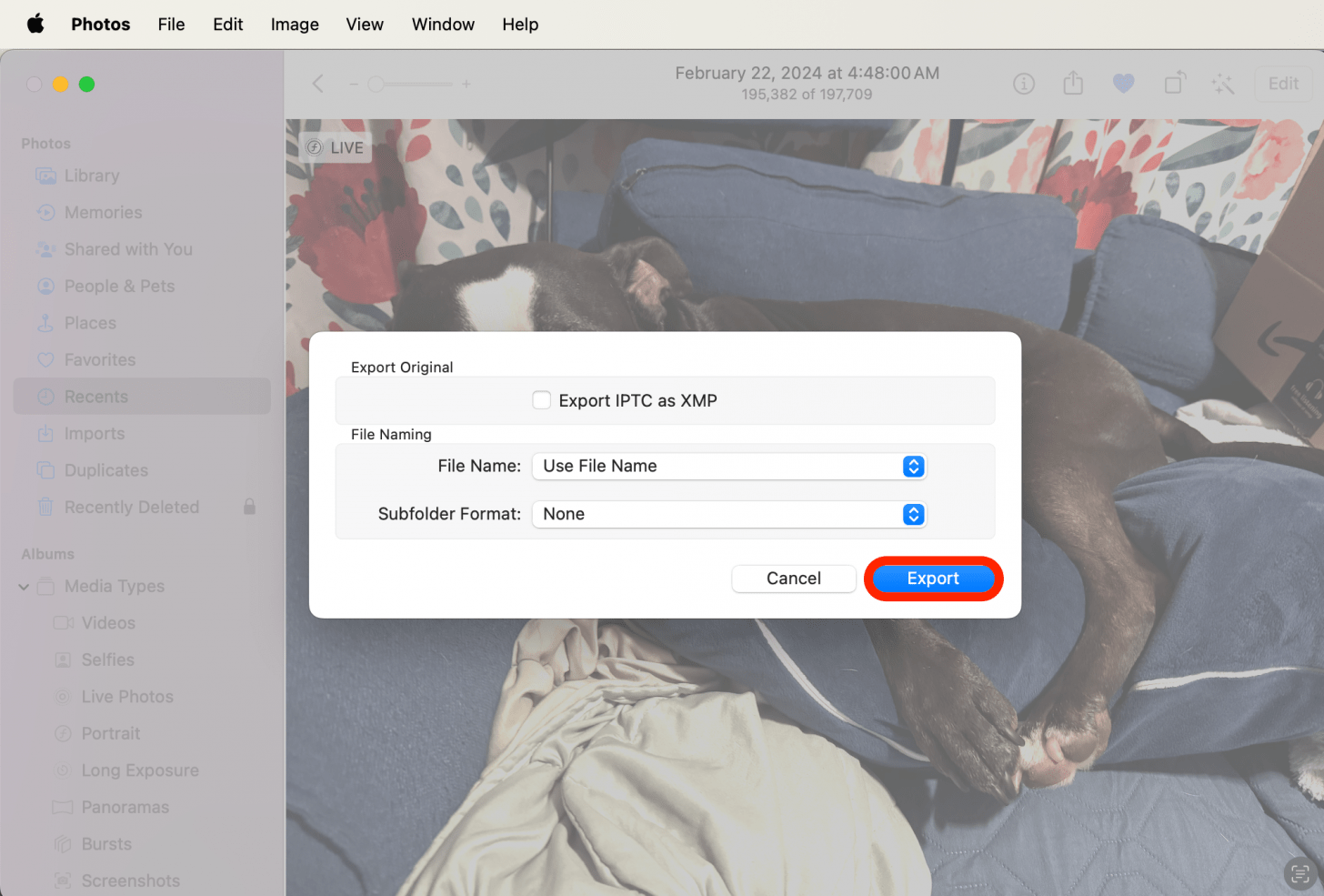 如何导出照片并保留原始日期 - 数字指南