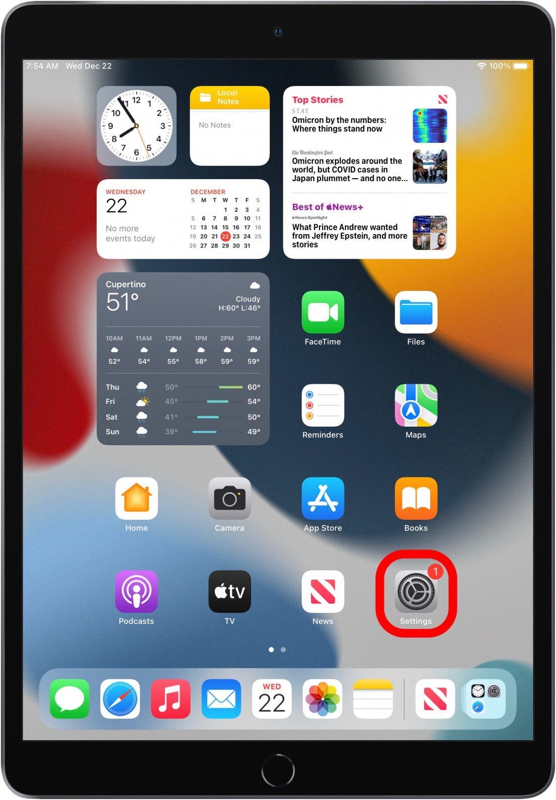 如何在 iPhone 和 iPad 上启用 Touch ID