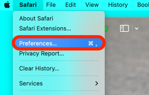 如何快速删除 Safari 扩展 - 数字指南