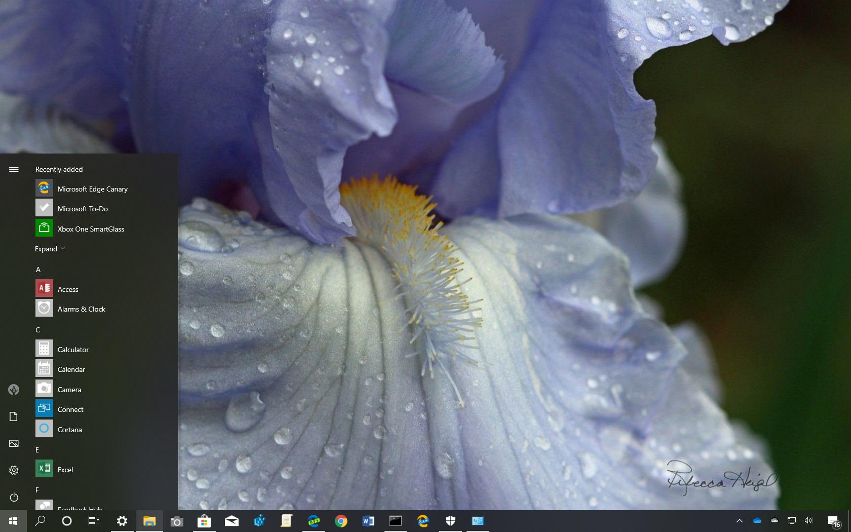 适用于 Windows 的 Spring Bloom 2 主题（下载）