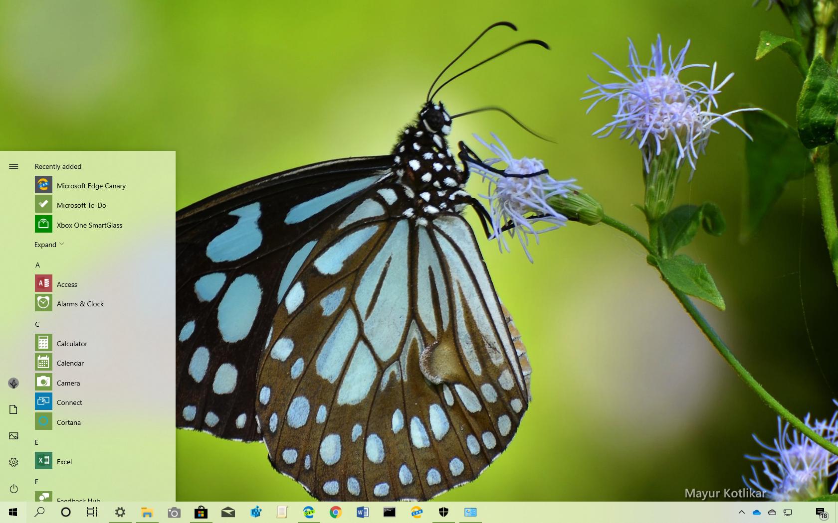 Mayur Kotlikar 的那格浦尔蝴蝶 Windows 10 主题（下载）