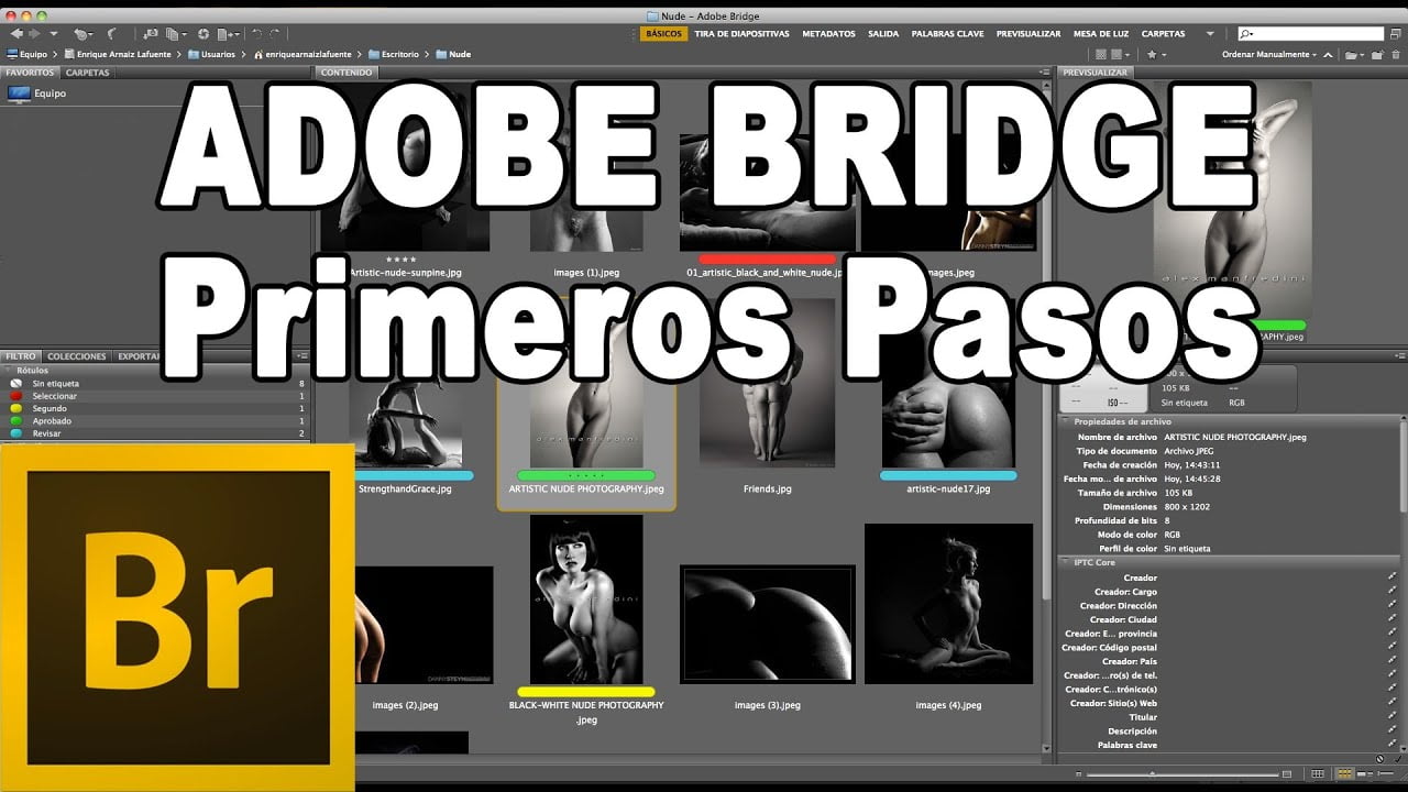 Adobe Bridge 是什麼？